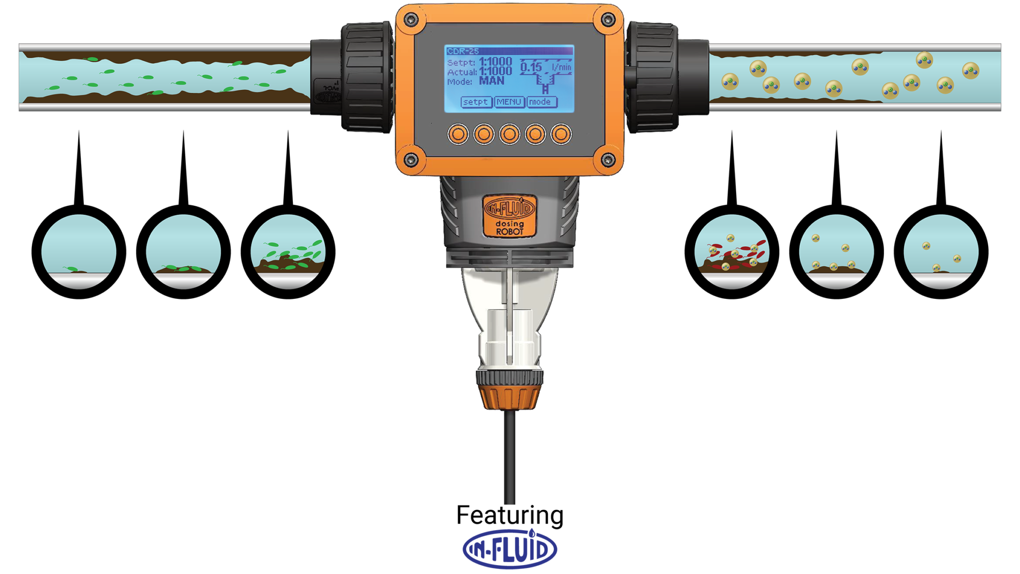 Poultry – Dutrion Chlorine Dioxide Solutions